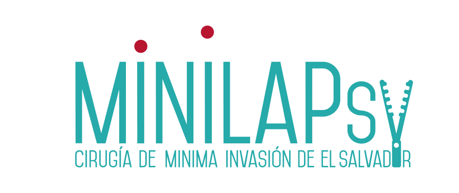 Nelson E. Garcia Montoya – Minilap